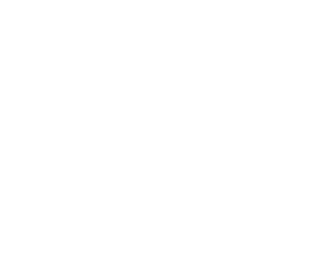 Nirvana Holding – Nirvana Holding